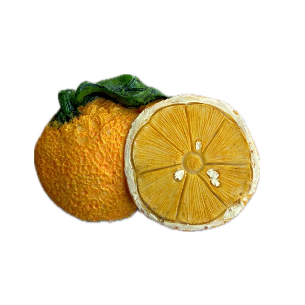 Sunkist Slice Fridge Magnet – Monza Home Collection